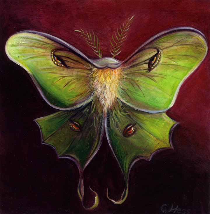 Christina Hess's: Spectrum Live! - Luna Moth Oil Painting
