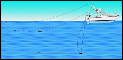 Mengenal Jenis-Jenis Teknik Dalam Memancing - Mancing Arena