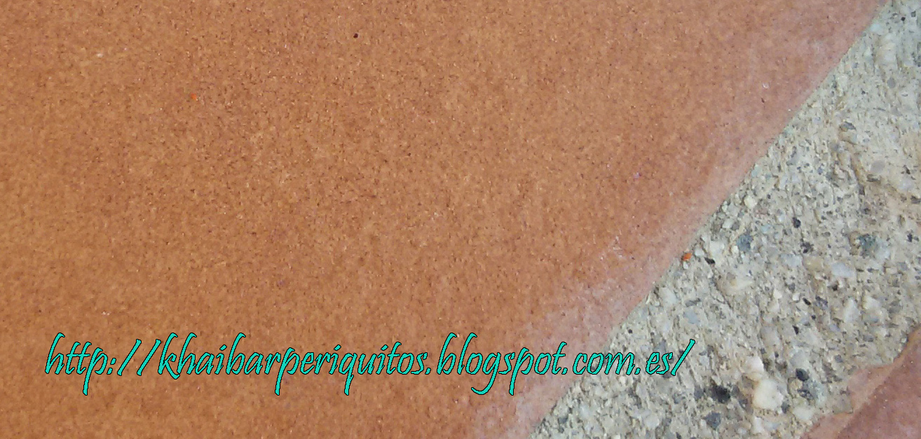 Los periquitos de Khaibar: Ácaros rojos (piojillo en el nido)