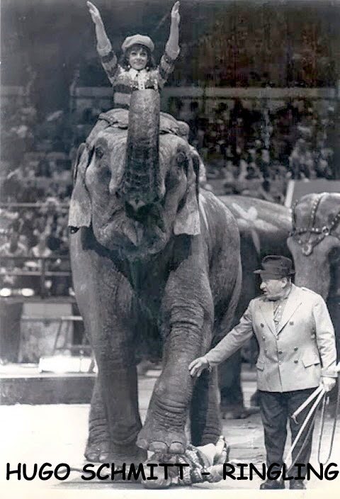 CIRCUS PHOTO ARCHIVES: HUGO SCHMITT ELEPHANT TRAINER - POSTED 3-31-14