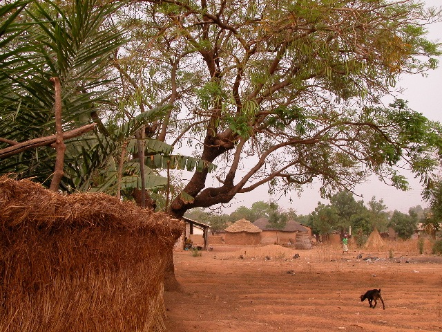 BetumiBlog: Recipe #66: Tuo Zaafe ("TZ")