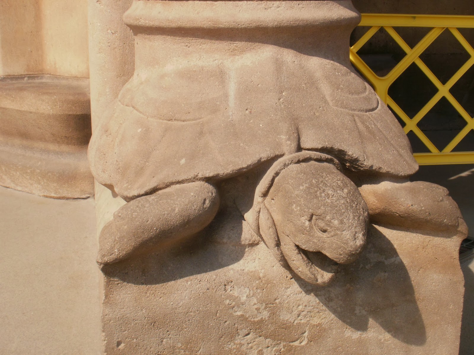 50th Anniversary Cruise