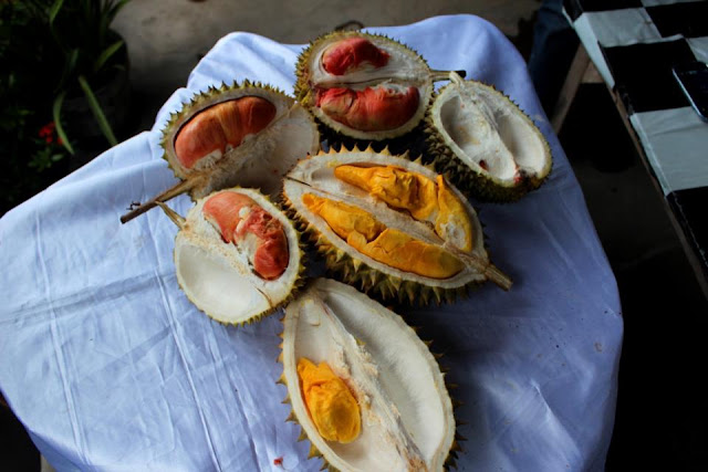 Durian Merah Banyuwangi Red Durio from Banyuwangi: Durian Merah ...
