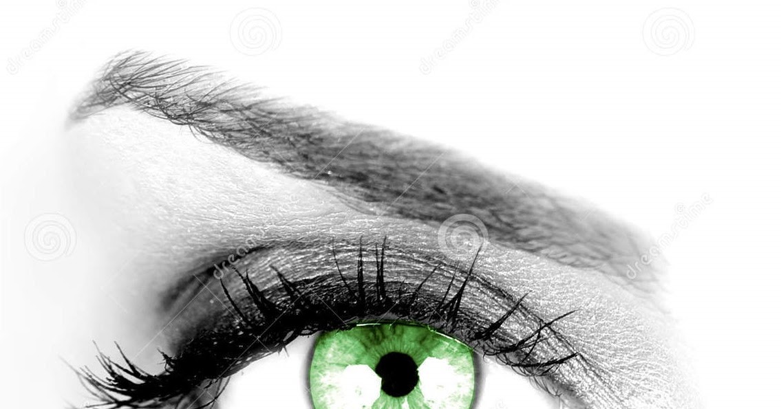 El Ojo Definición ~ OPTICA BASICA