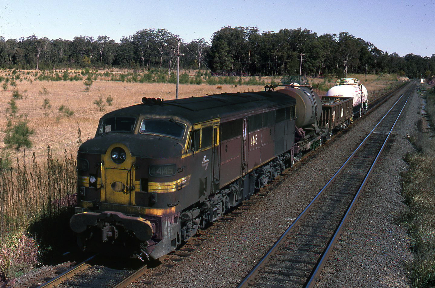 transpress nz: NSW 44 class diesel