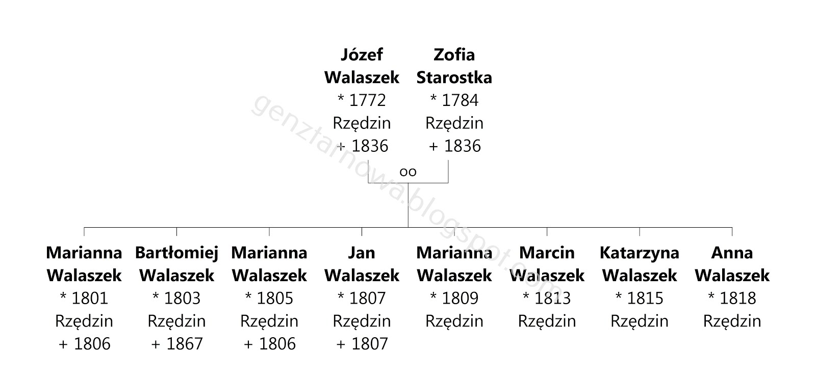 Genealogia : Walaszkowie z Rzędzina