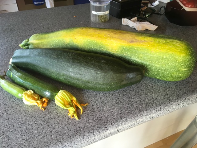 So So Simple Food: What do you do with A Large Marrow - Stuff It