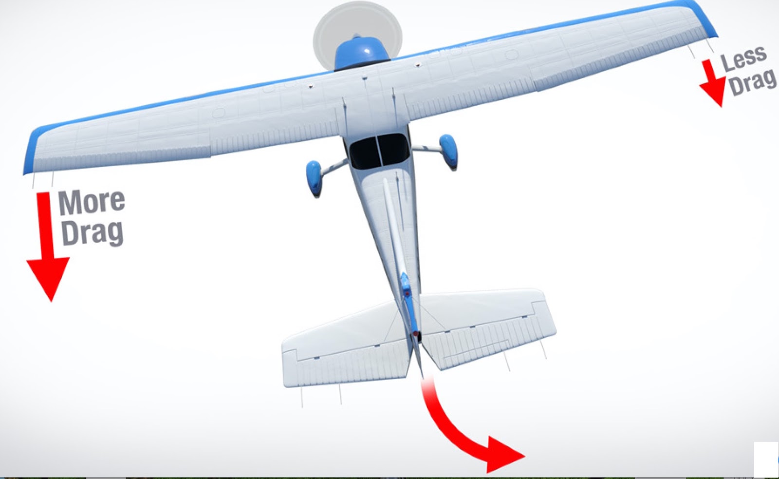 The Arts, Sciences and Medicine: THE FALLING LEAF