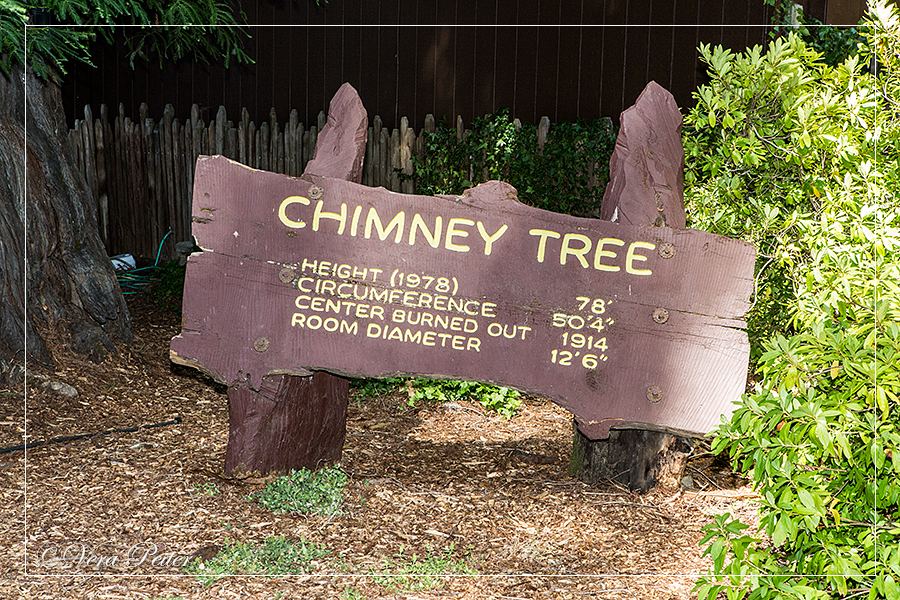 Artifactum ver@bilis Blog: Ja, er lebt noch ...