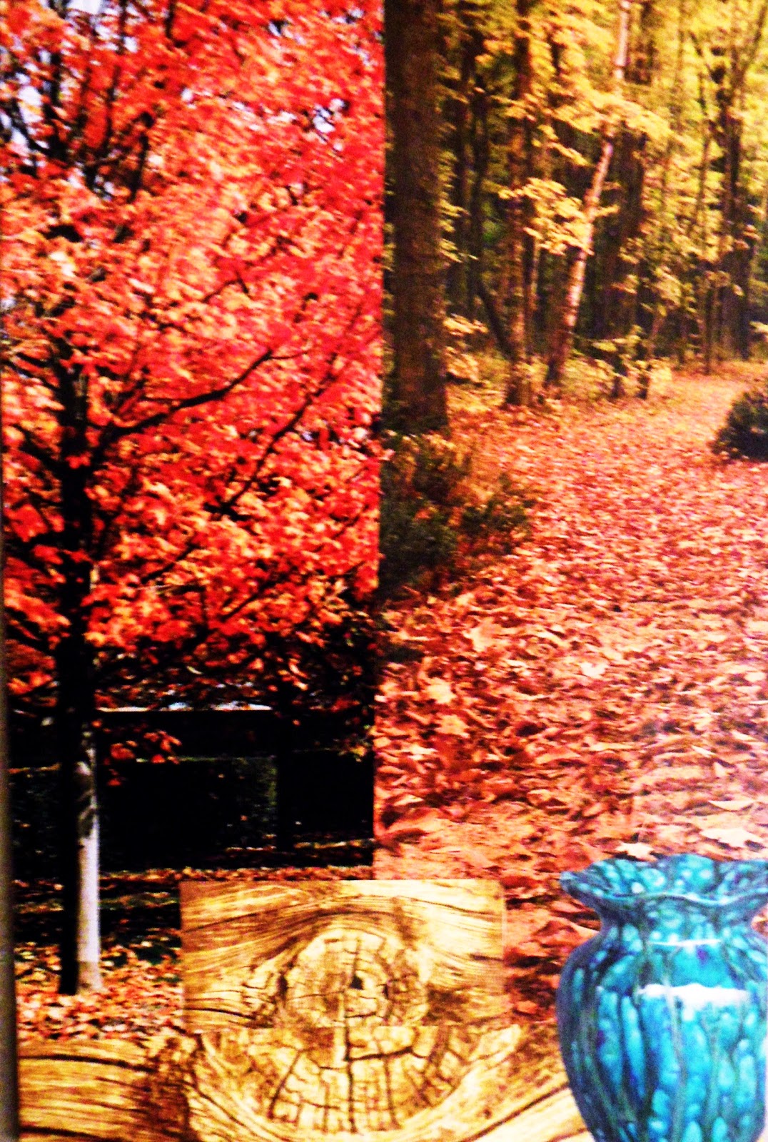 a capellaSoul: SoulCollage® Reflections