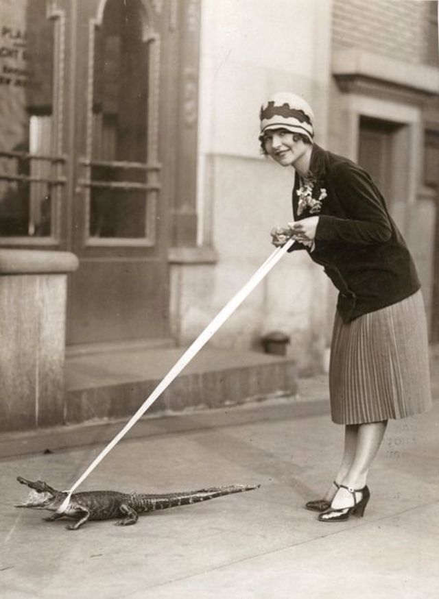 27 Incredible Vintage Photos of People Posing With Alligators, Even ...