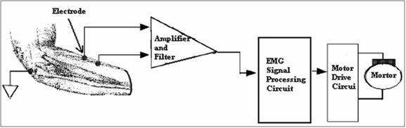 Development of Electric Wheelchair controlled by EMG circuit: October 2014