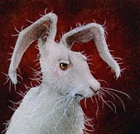 Funny hare photos hq ~ unique animal wallpapers