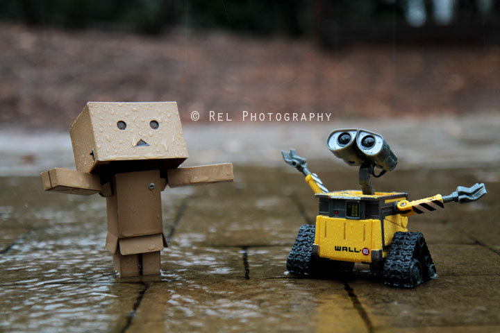 My Danbo: Danbo Wallpaper #1