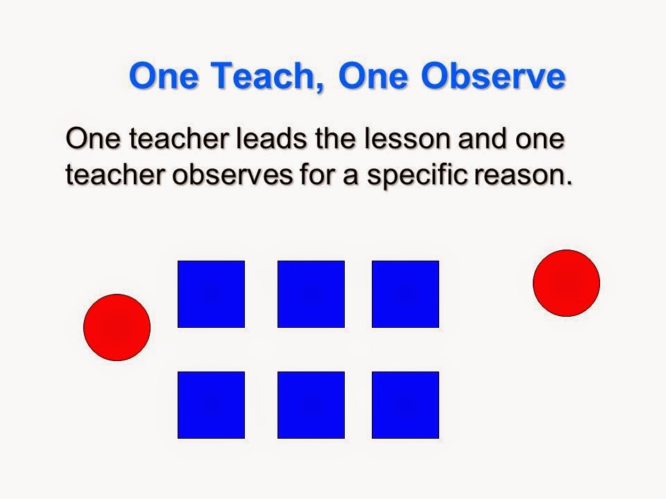 Extra Special Teachery: One Teach / One Observe