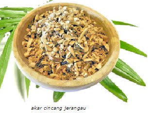 Herba & Tumbuhan: Jerangau dalam perubatan tradisional