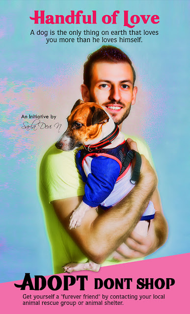 Sarlaz-Community Campaign: Animal Awareness Campaign