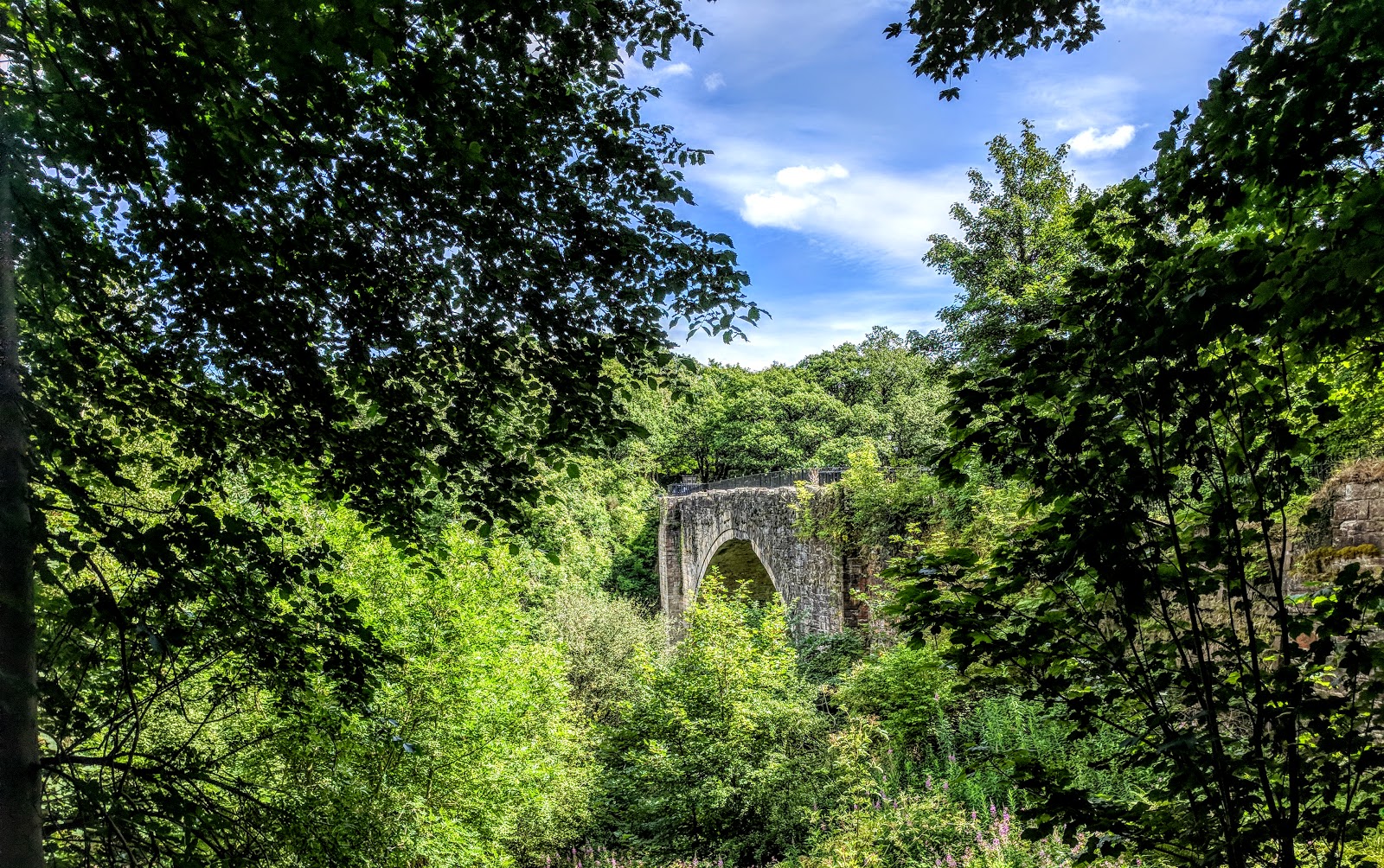 Tanfield Railway | Britain's Oldest Railway & a Picnic at Causey Arch ...