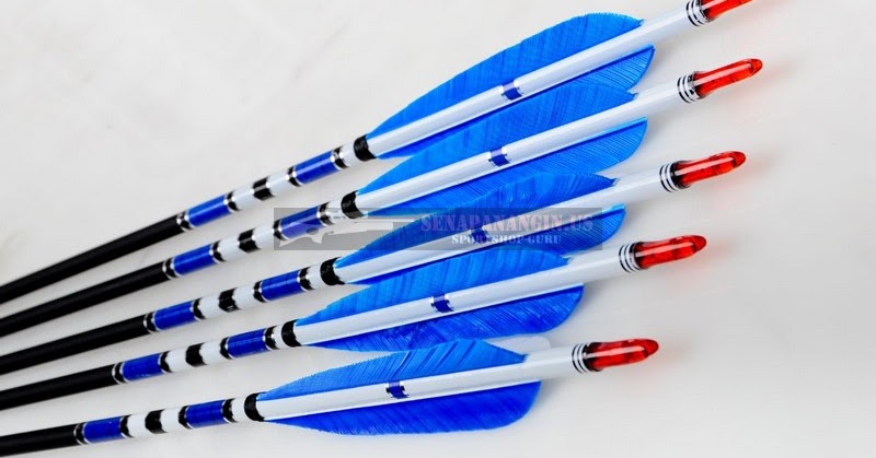 GUN SPORT: Busur Panah Carbon Compound & Recurve