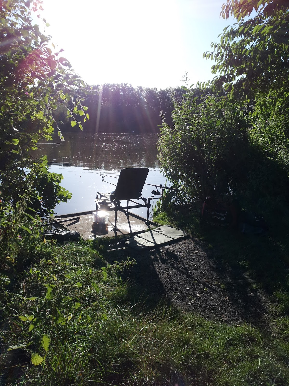 UK fishing venues: Woodlands Lakes (Partridge Lake) - Venue Review