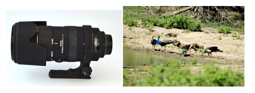 Pengertian, Macam dan Jenis Lensa Kamera + Contohnya | Ida Ayu K.A