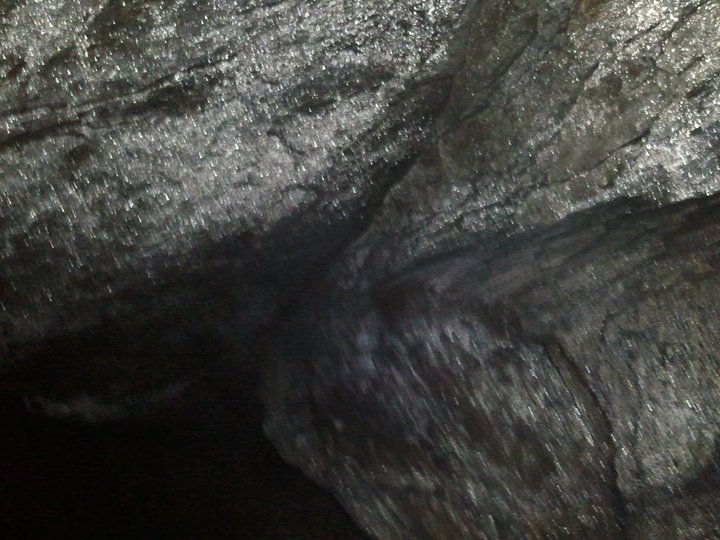 Forever Wild: Chimney Mountain & Eagle Cave