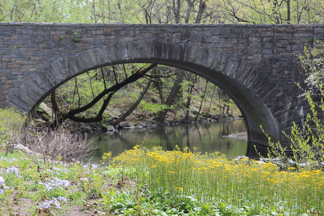 66 Square Feet (Plus): The New York Botanic Garden in April
