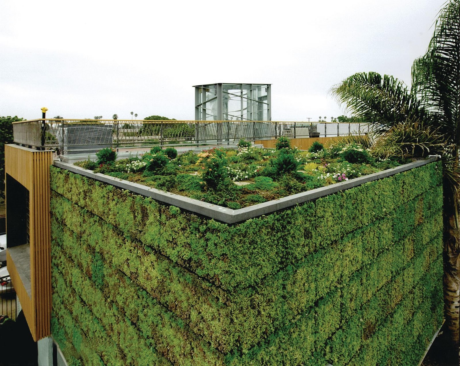 A Sustainable Future: Green Walls: An Overview