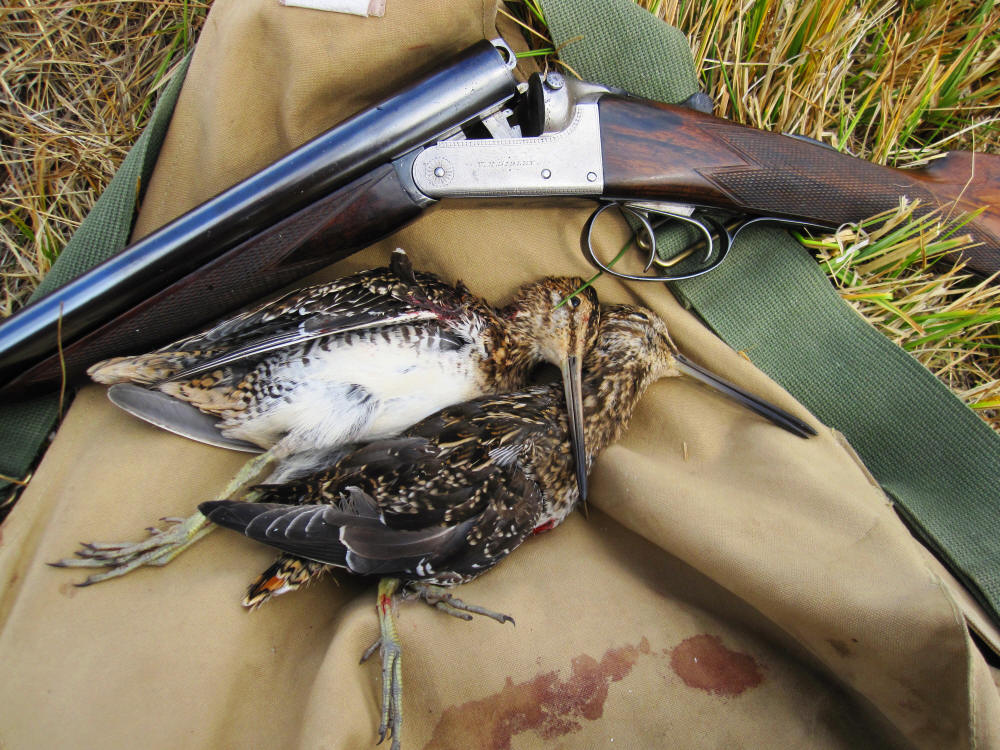 Old Gunkie in WY: Morning snipe, afternoon grouse.