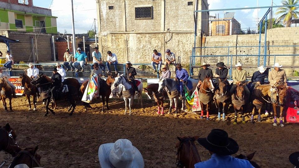 Fotos: Desfile de apertura del campeonato nacional de toros coleados ...