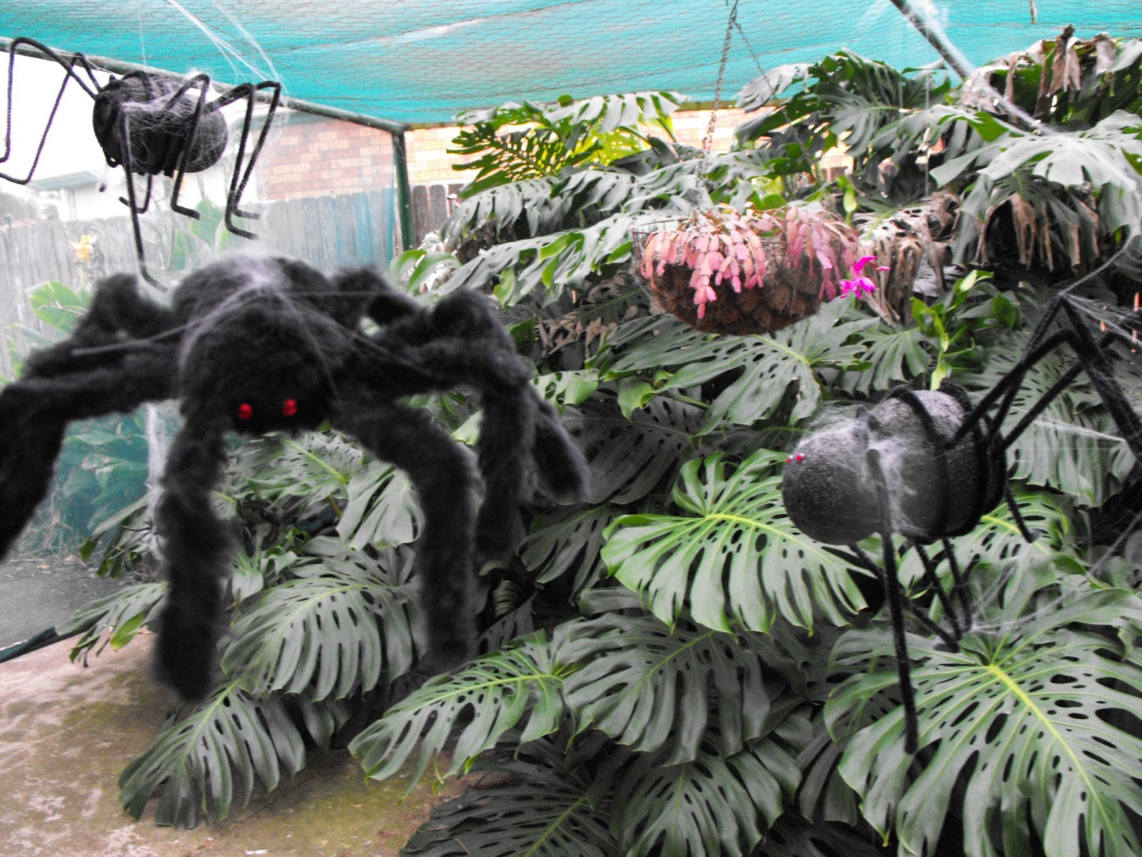 The Crafty Little Butterfly: Harry Potter Part 5 Spiders