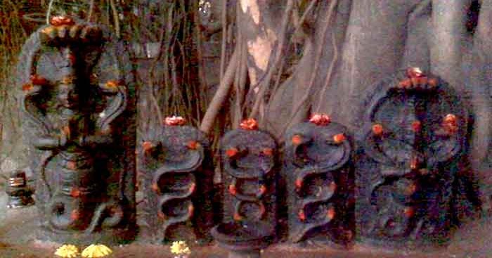 Kundalini Experiences, Kundalini Awakening, Kundalini Raising, Yoga ...