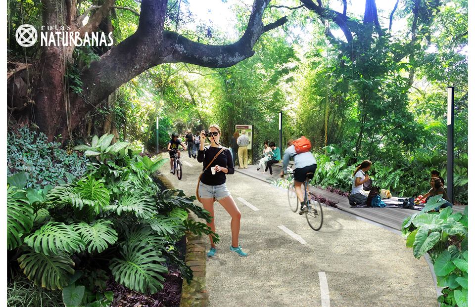 Prestamos Rapidos Y Seguros Costa Rica - creditos carrefour