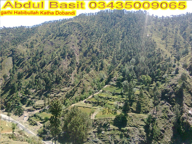 Garhi Habibullah: Garhi Habib Ullah Village Katha Dobandi