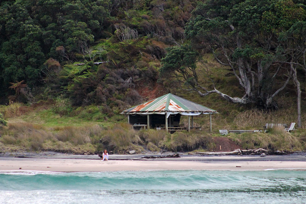 The Gluepot Gazette: Solitude, Waitaia Beach, Mercury Bay