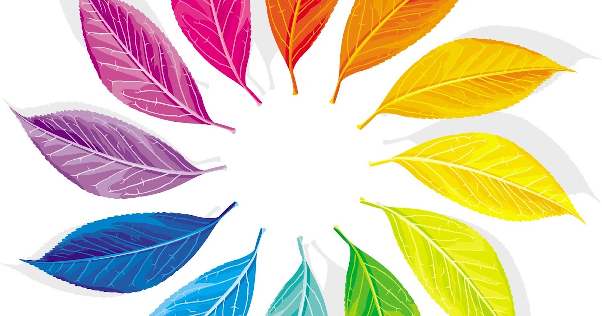 Psikologi Warna dalam Branding dan Marketing