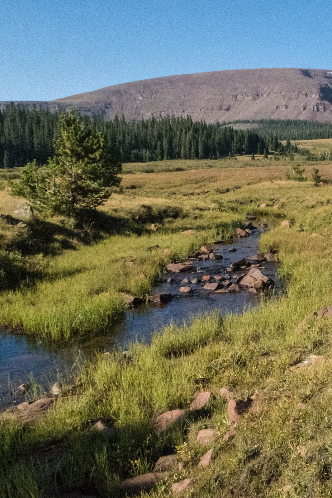Eric's Hikes: Uinta Highline Trail Day 3: Summit Park to Chepeta Lake