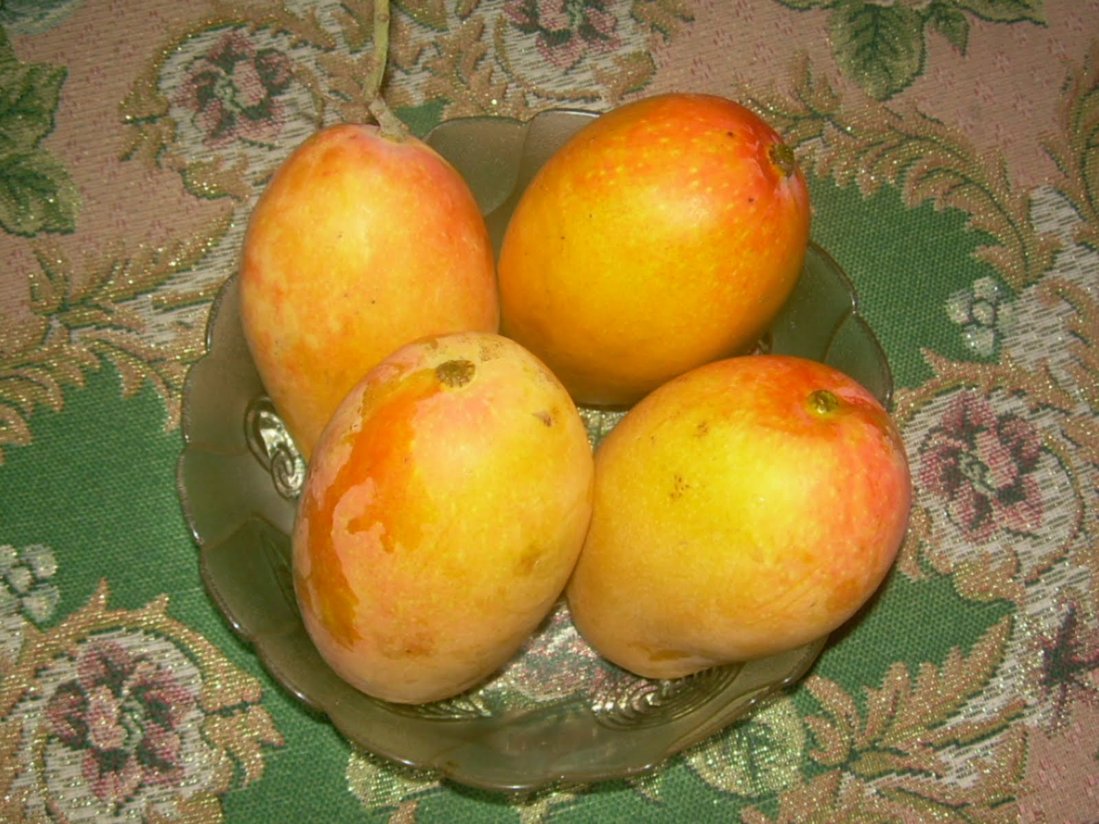 Nutrition and Halal Food: Prepare to Eat Podang Mango