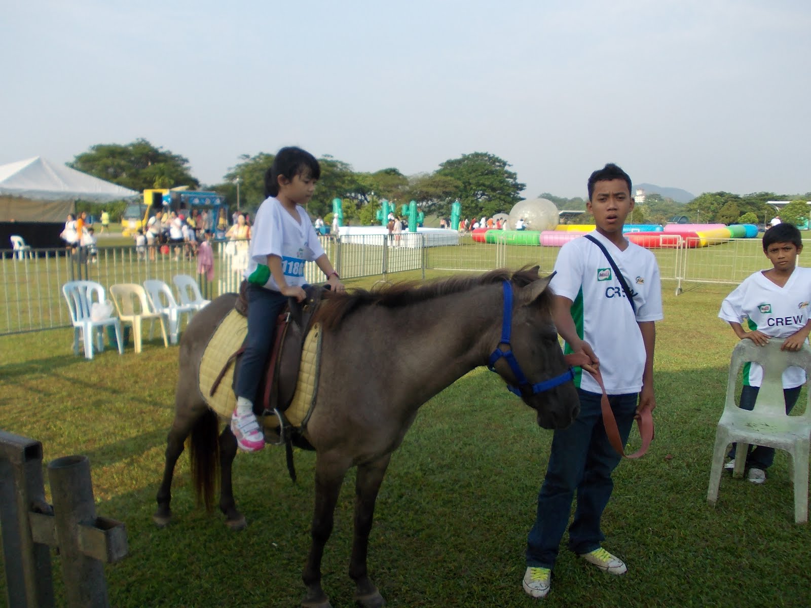 Event DirecTus: FUN Pony Rides for Kids for Family Days, Carnival ...