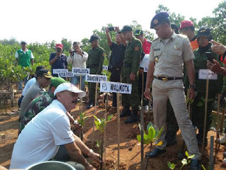 Soal Mangroove, Ini Komentar Pj Walikota Pekalongan | Pekalongan News