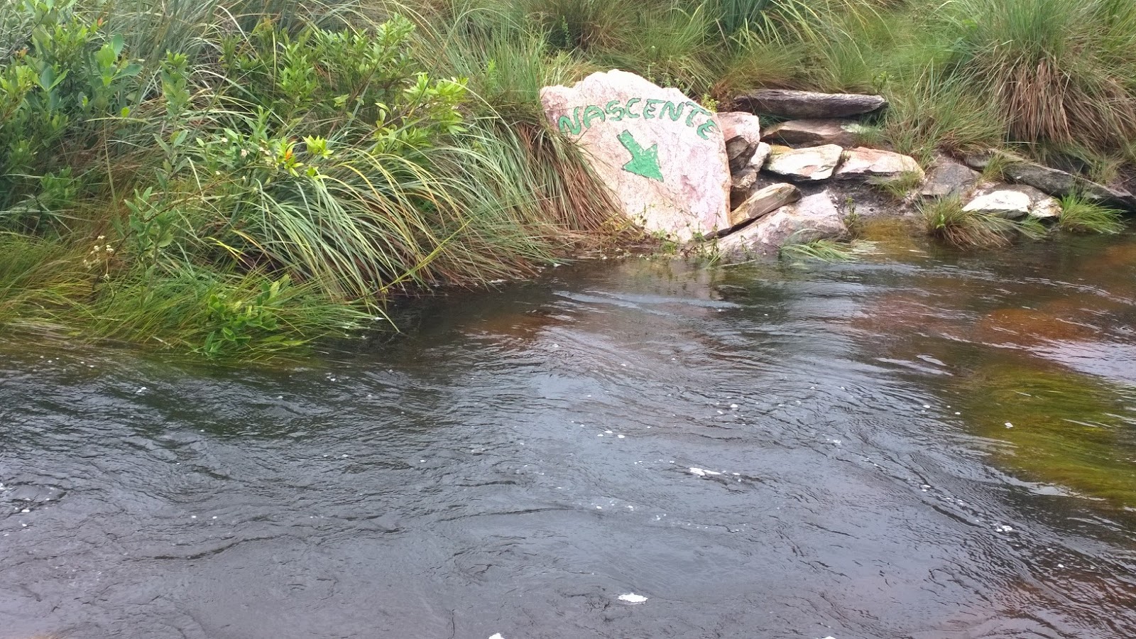 Nascente Do Rio Sao Francisco Serra Da Canastra - FDPLEARN