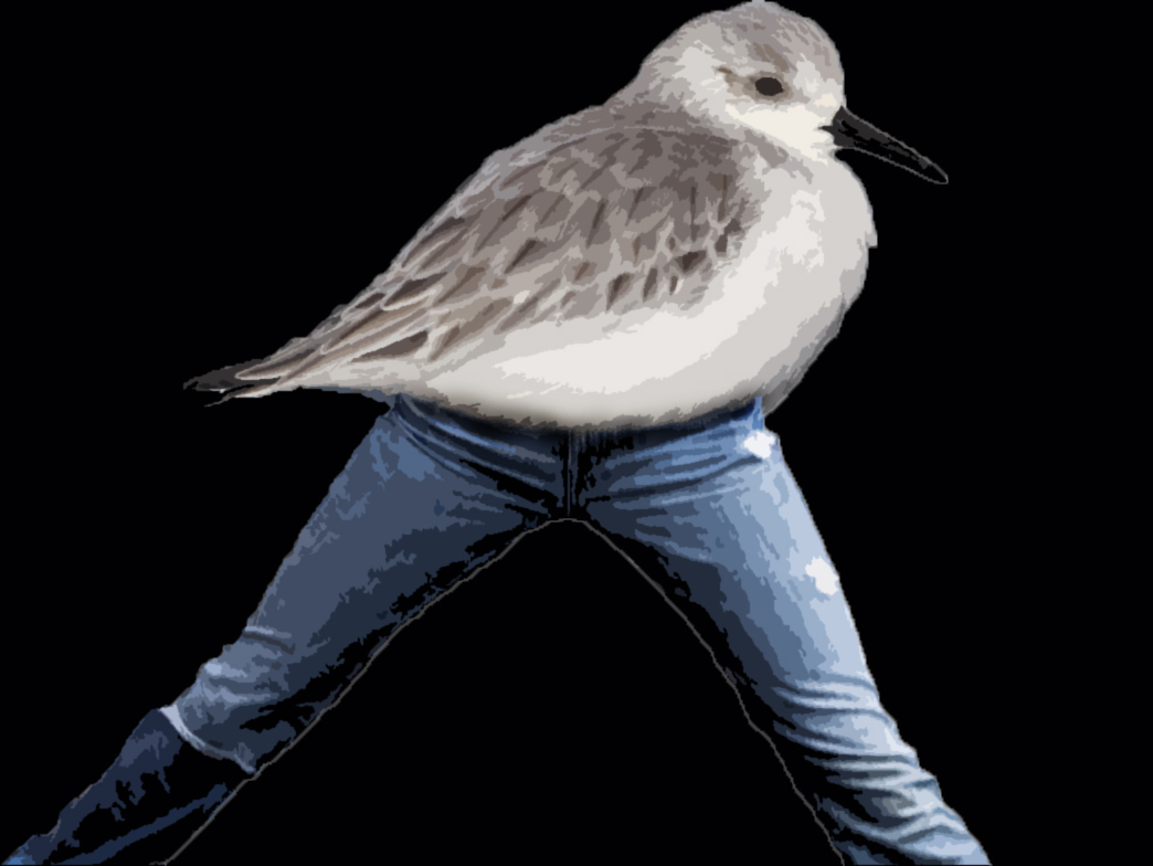 Kanchana's World of Graphics