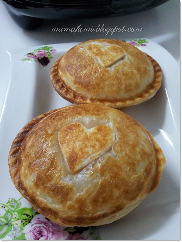 MamaFaMi's Spice n Splendour: Chicken pie (Pie Maker)