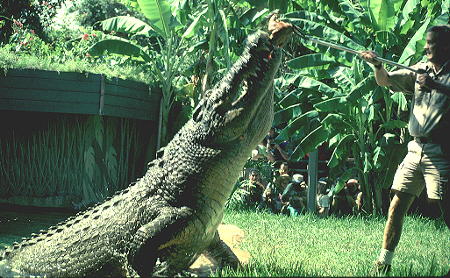 mystdock: โกเมค (Gomek The Crocodile)