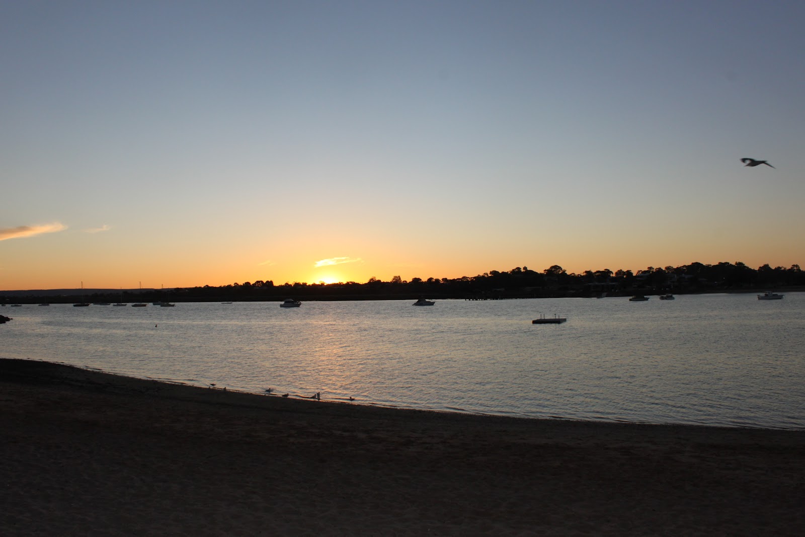 out back tania: Port Augusta Sunsets and Sunrises,