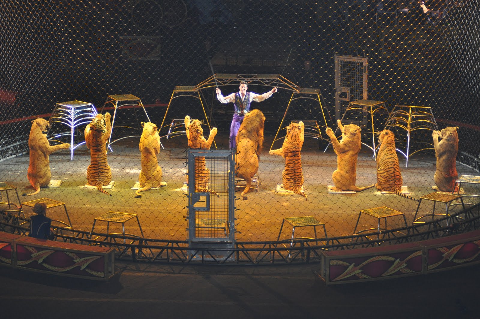 The Tangeman Family Blog: Circus Day