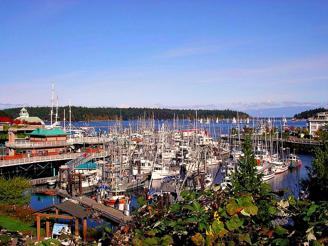 Everything Nanaimo: A GLIMPSE OF NANAIMO