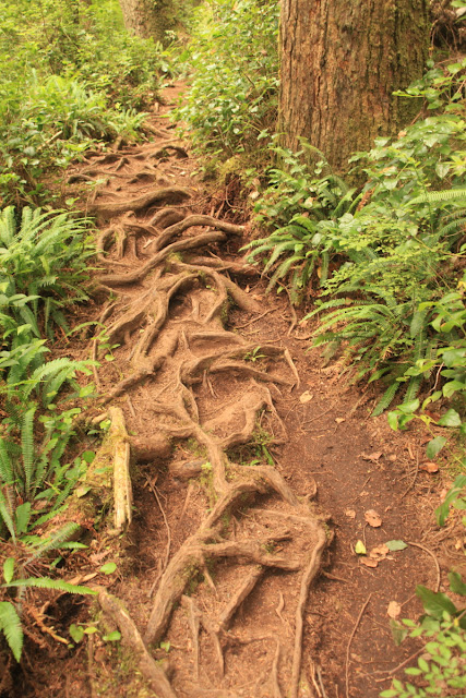 Earthly Musings - My Travel and Geology Blog: Vancouver Island's West ...