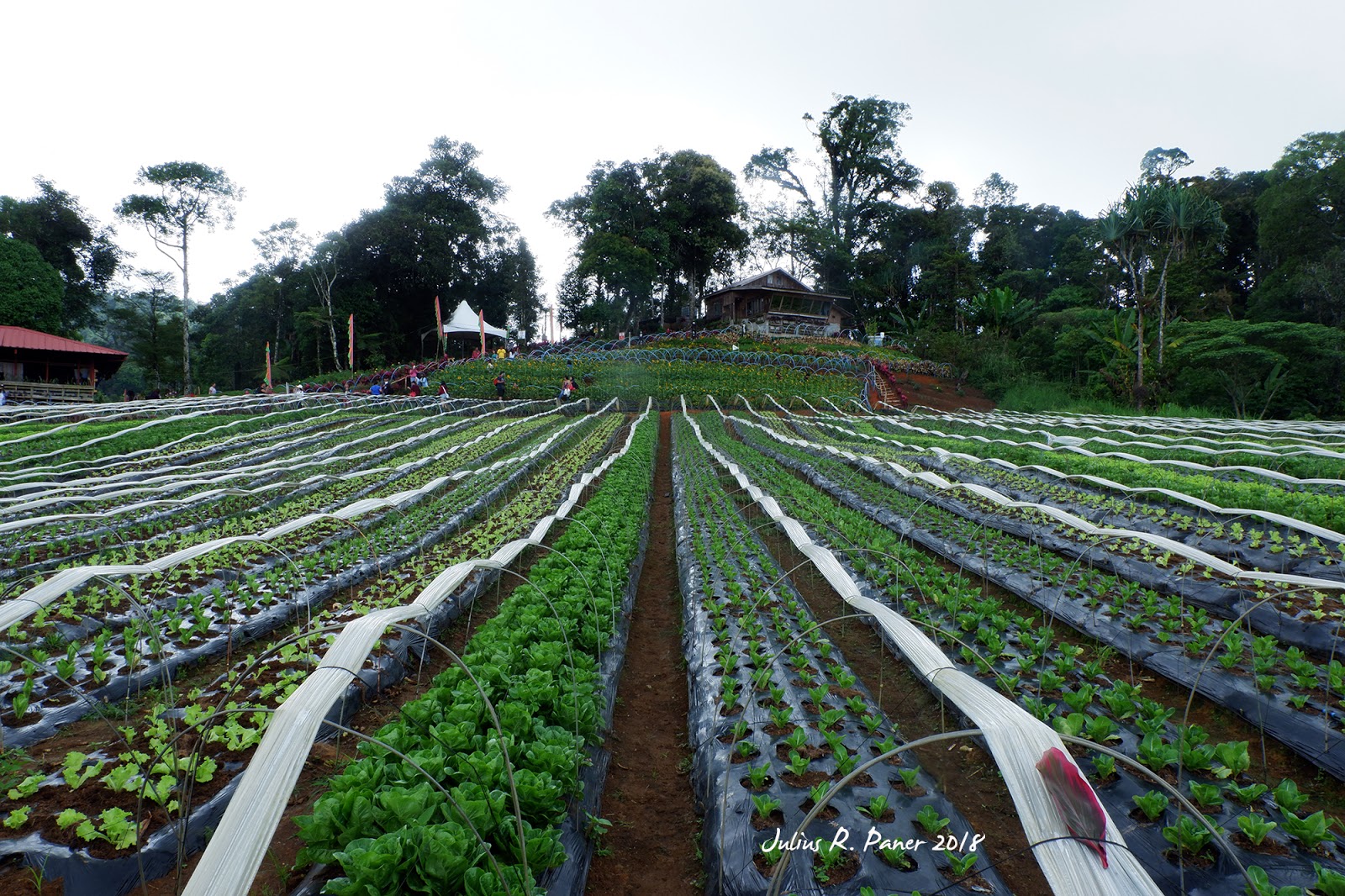 LOGSAC: BEMWA Farm underscores healthy option and countryside Davao ...