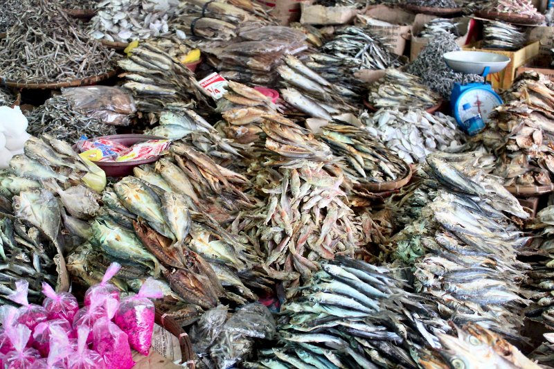 The other side of variety | dead-hungry